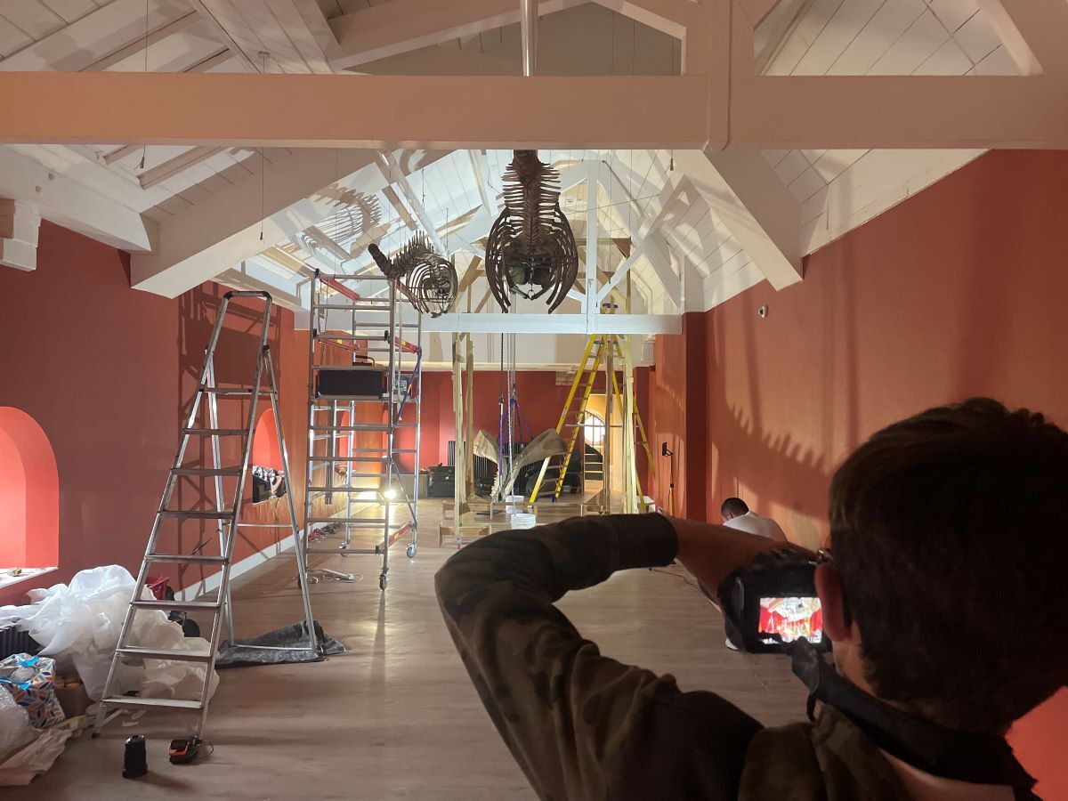 blog | Going behind the scenes at Hull’s Maritime Museum | Maritime ...
