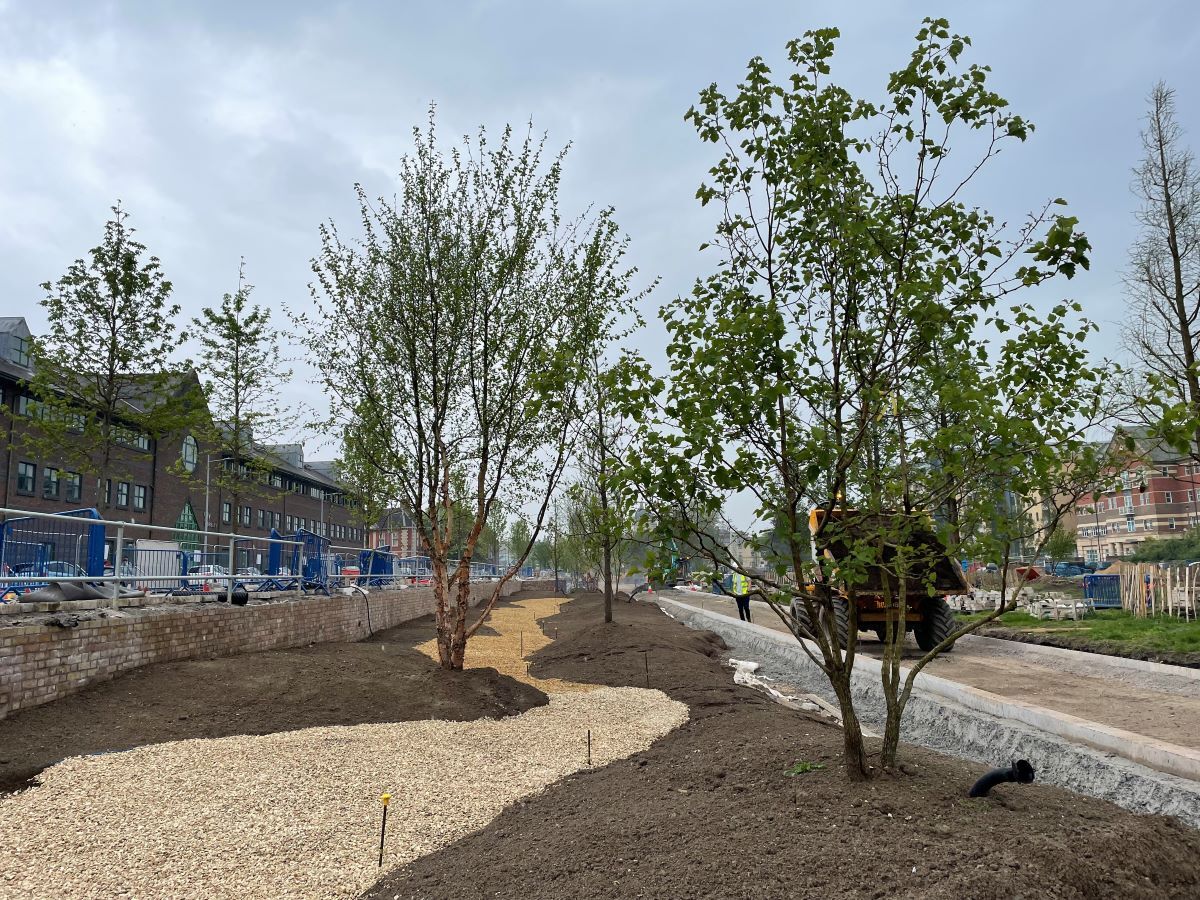 BLOG | Queens Gardens to benefit from rain gardens | Maritime Hull (en-GB)