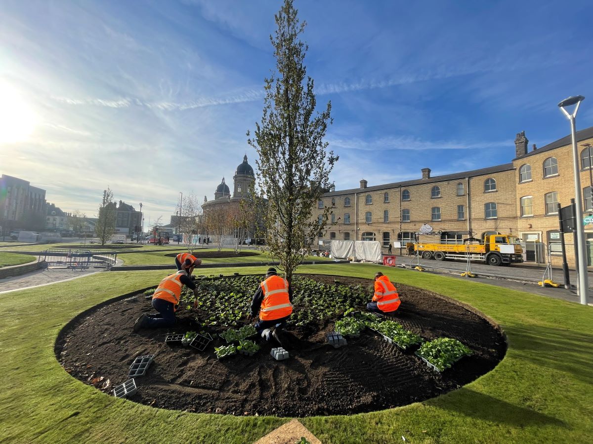 NEWS | Traditional Victorian planting returns to Hull's Rose Bowl ...